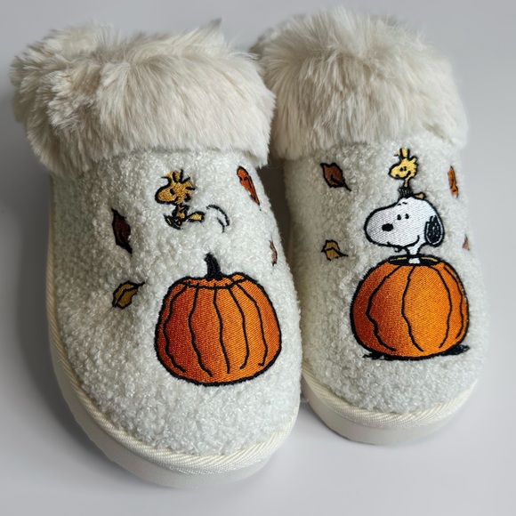 American Eagle Outfitters | Shoes | American Eagle Ae Fall Peanuts ...